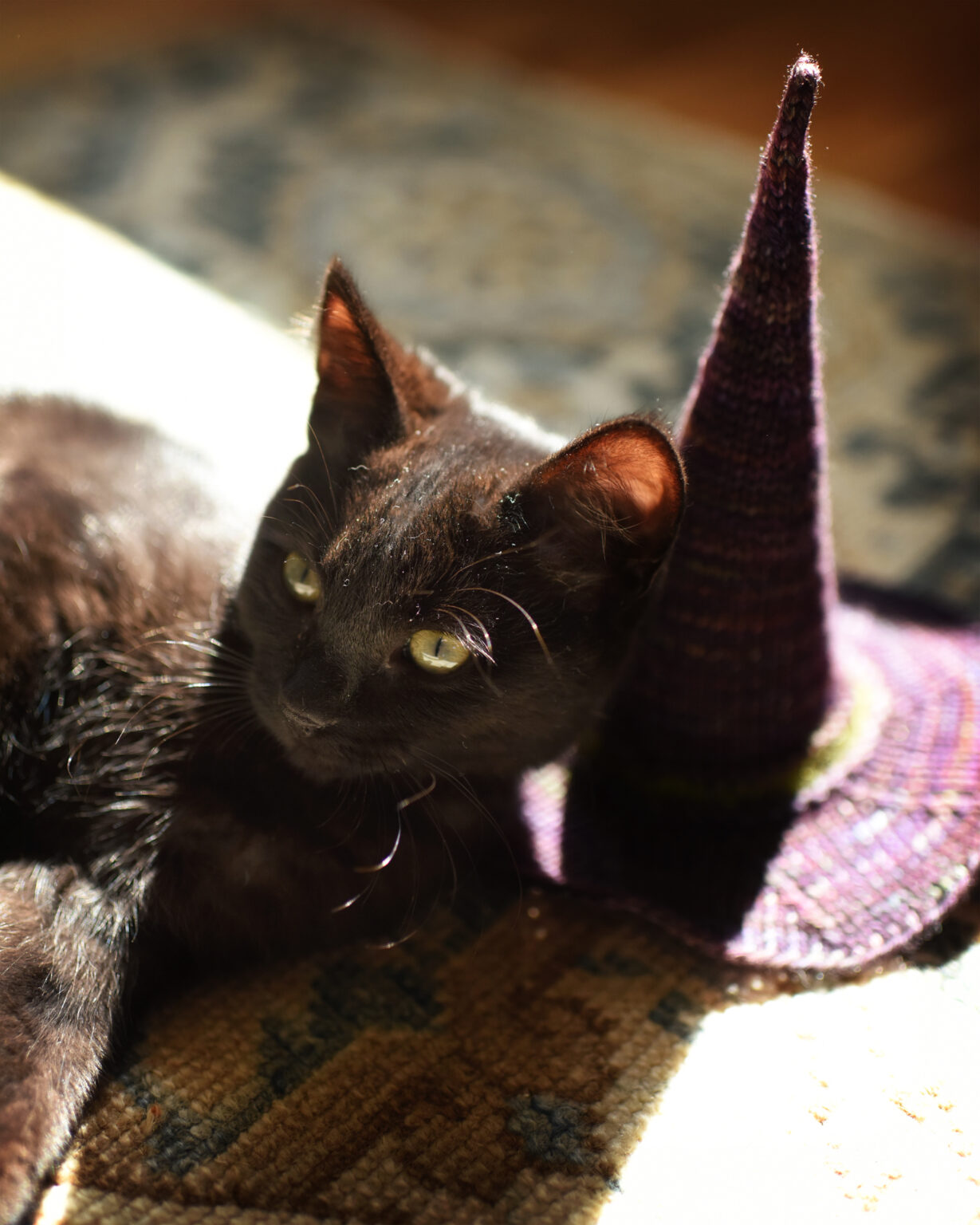 Ensorcellment – Tiny Nonsense