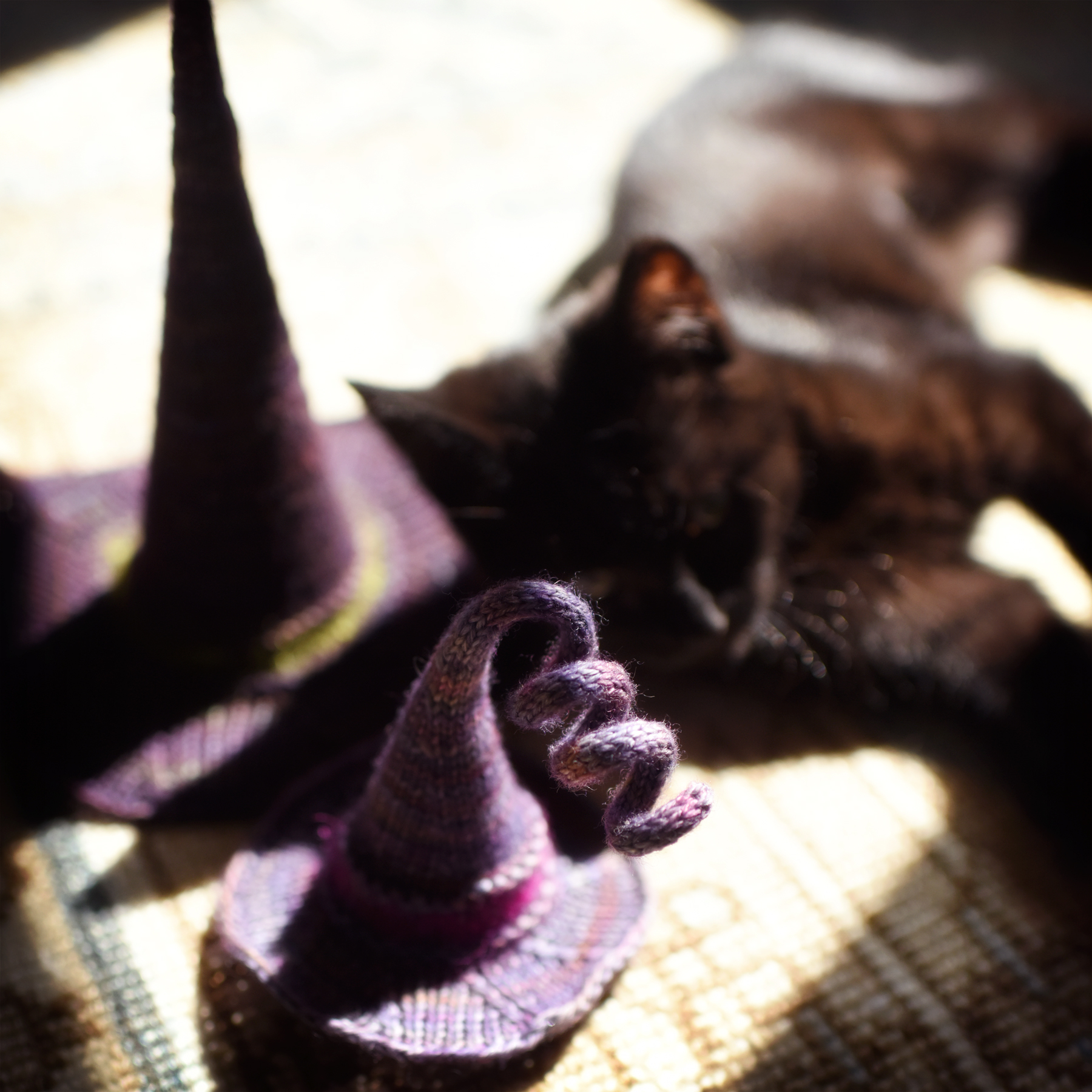 Permissive – Tiny Nonsense