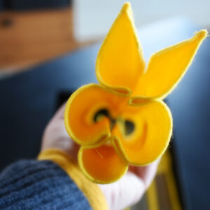 Orderly – Tiny Nonsense