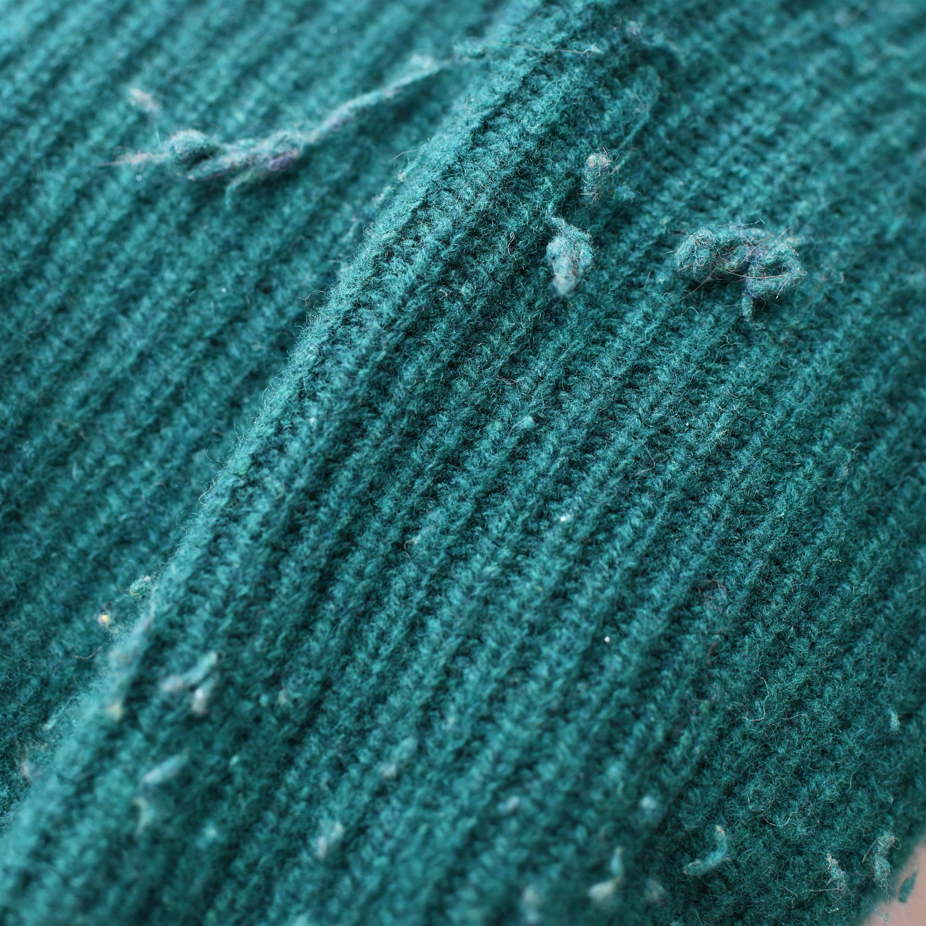 Shoddy – Tiny Nonsense