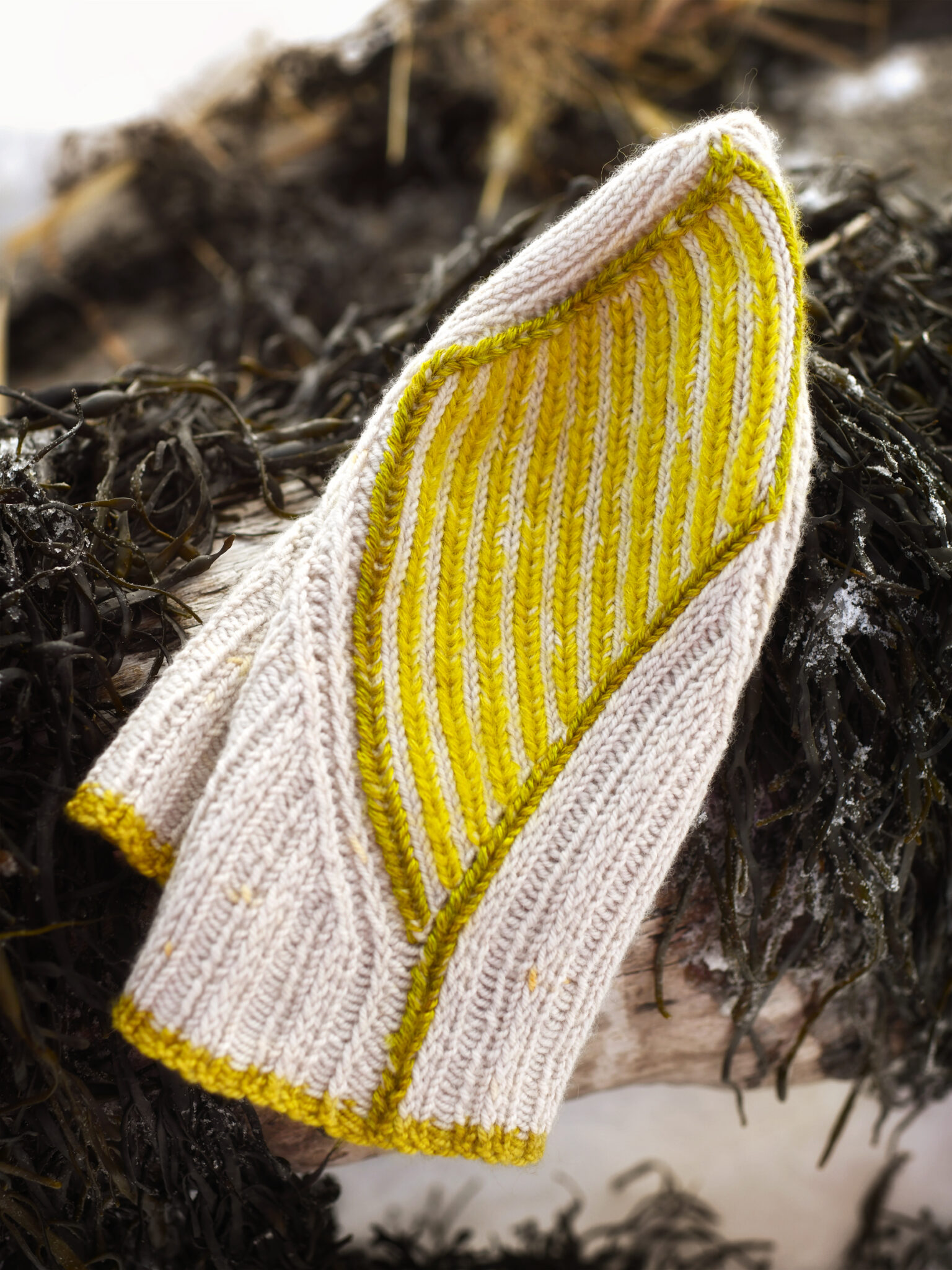 Penchant Expansion Pack – Tiny Nonsense