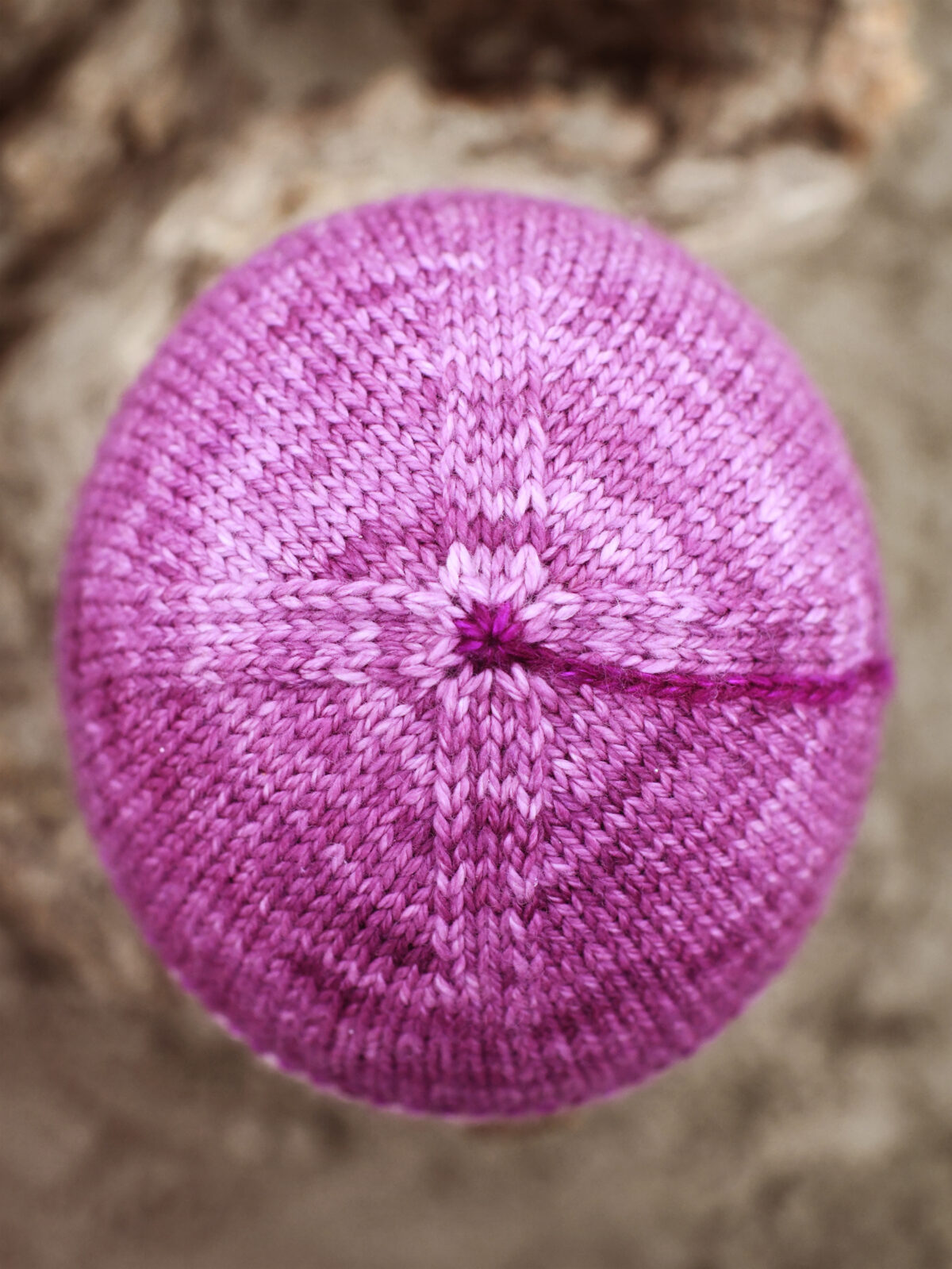 Expound – Tiny Nonsense