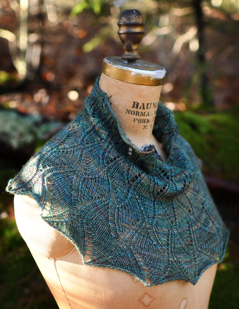 Evolve – Tiny Nonsense