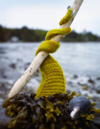 Explicate – Tiny Nonsense