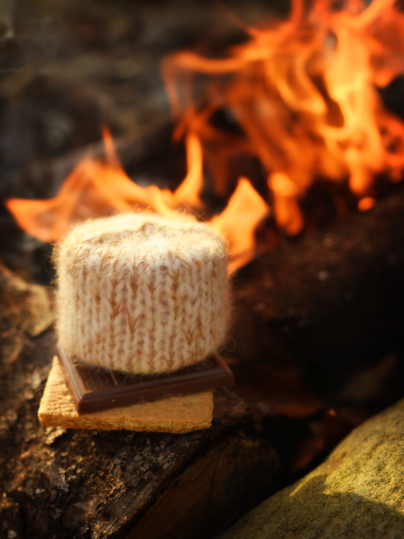 Toasted – Tiny Nonsense