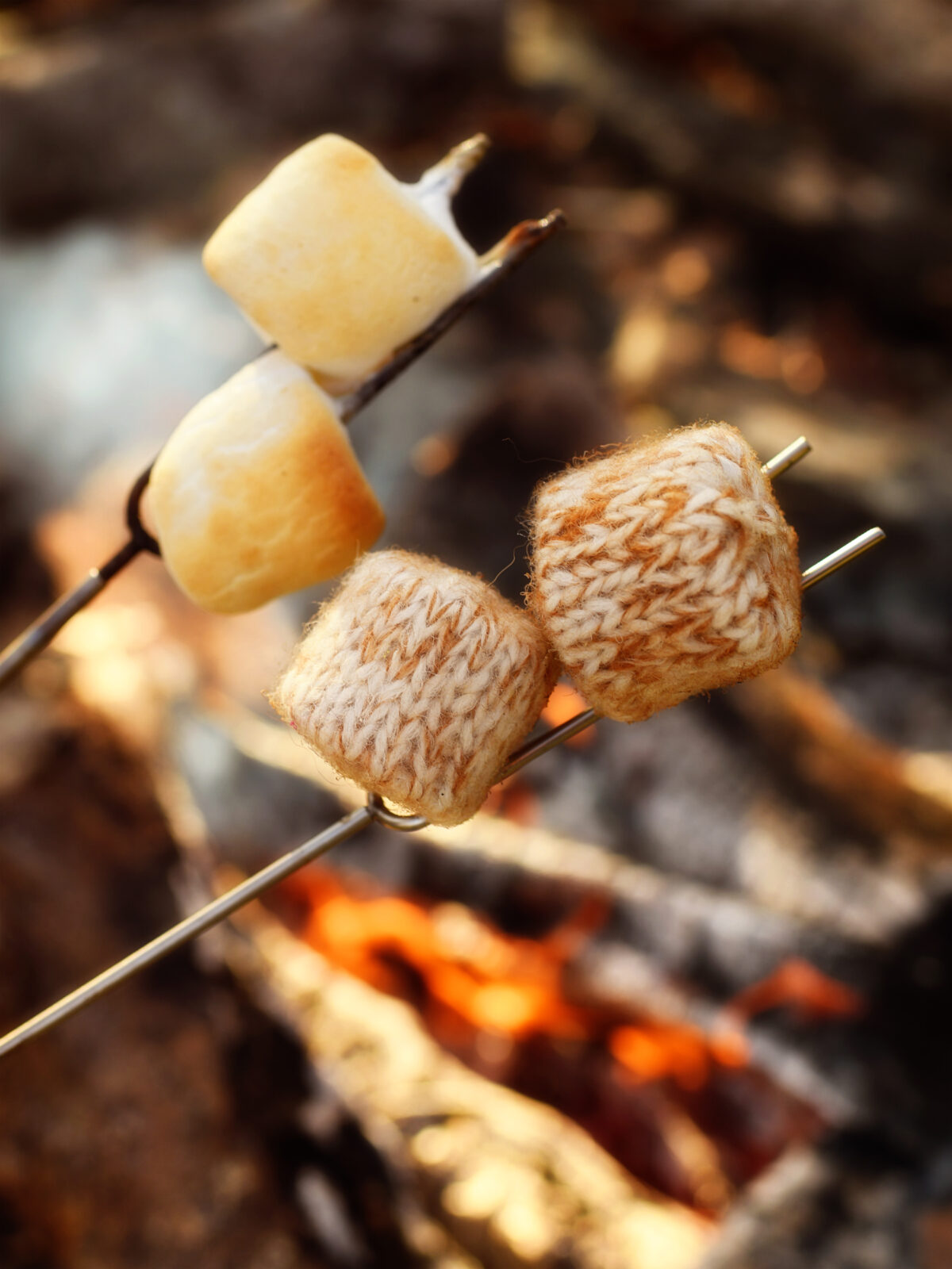 Toasted – Tiny Nonsense