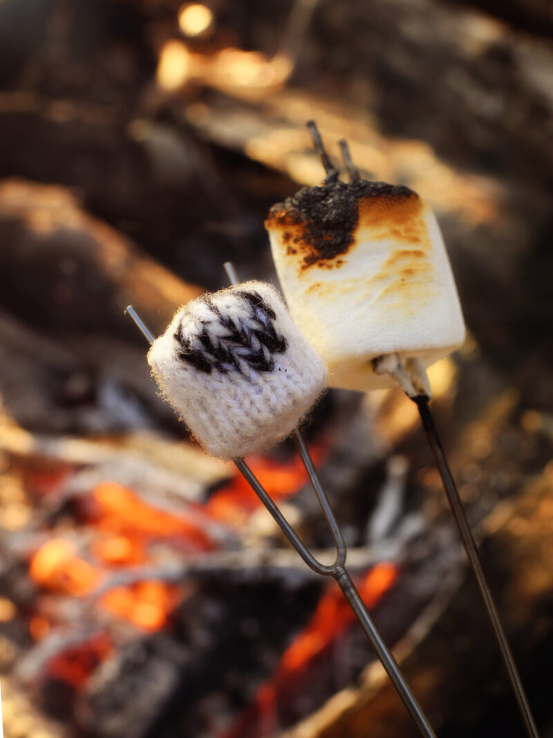 Toasted – Tiny Nonsense