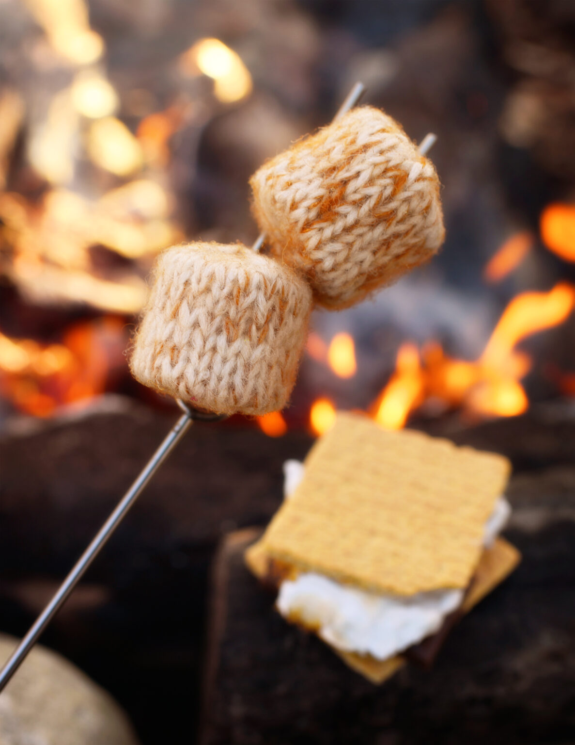 Toasted – Tiny Nonsense